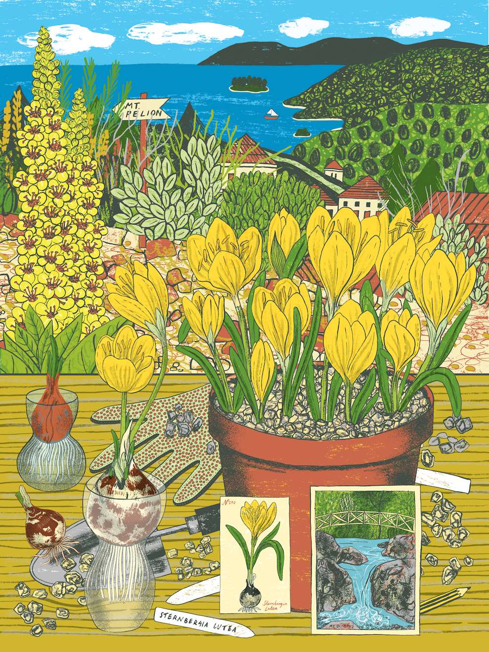 Alice Pattullo | Illustration | Central Illustration Agency