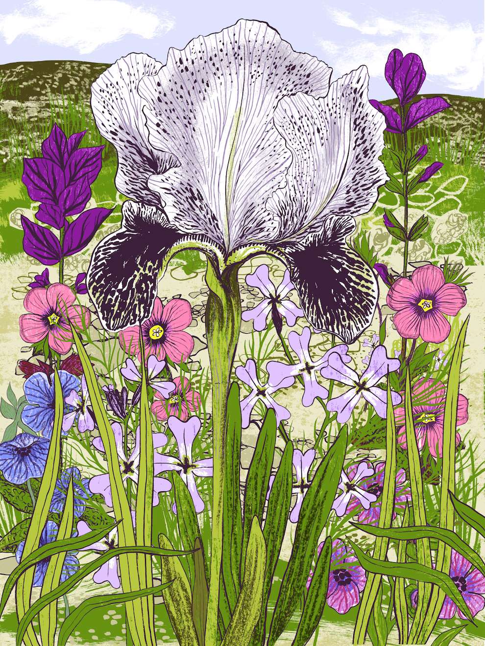 Alice Pattullo | Illustration | Central Illustration Agency